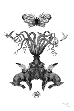 Humanism v Naturalism - Oxyopia HOME